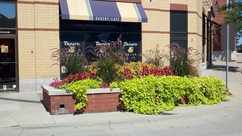 Hanson Landscape - Landscape Maintenance Service